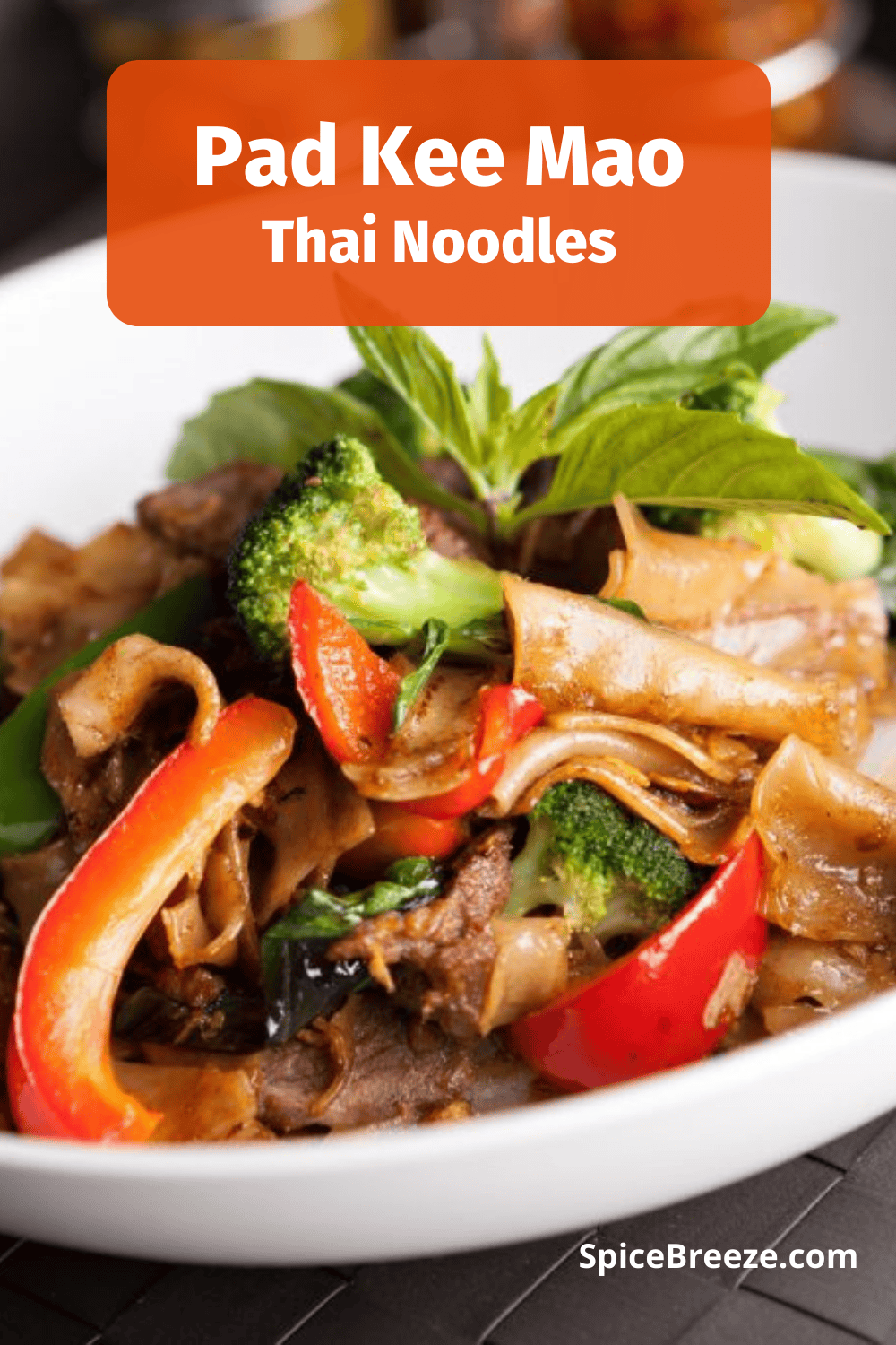 Thailandese Pad Kee Mao | SpiceBreeze