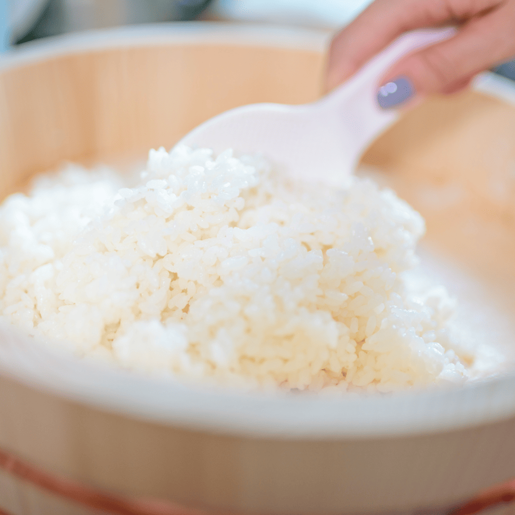 Japanese Sushi Variations | SpiceBreeze