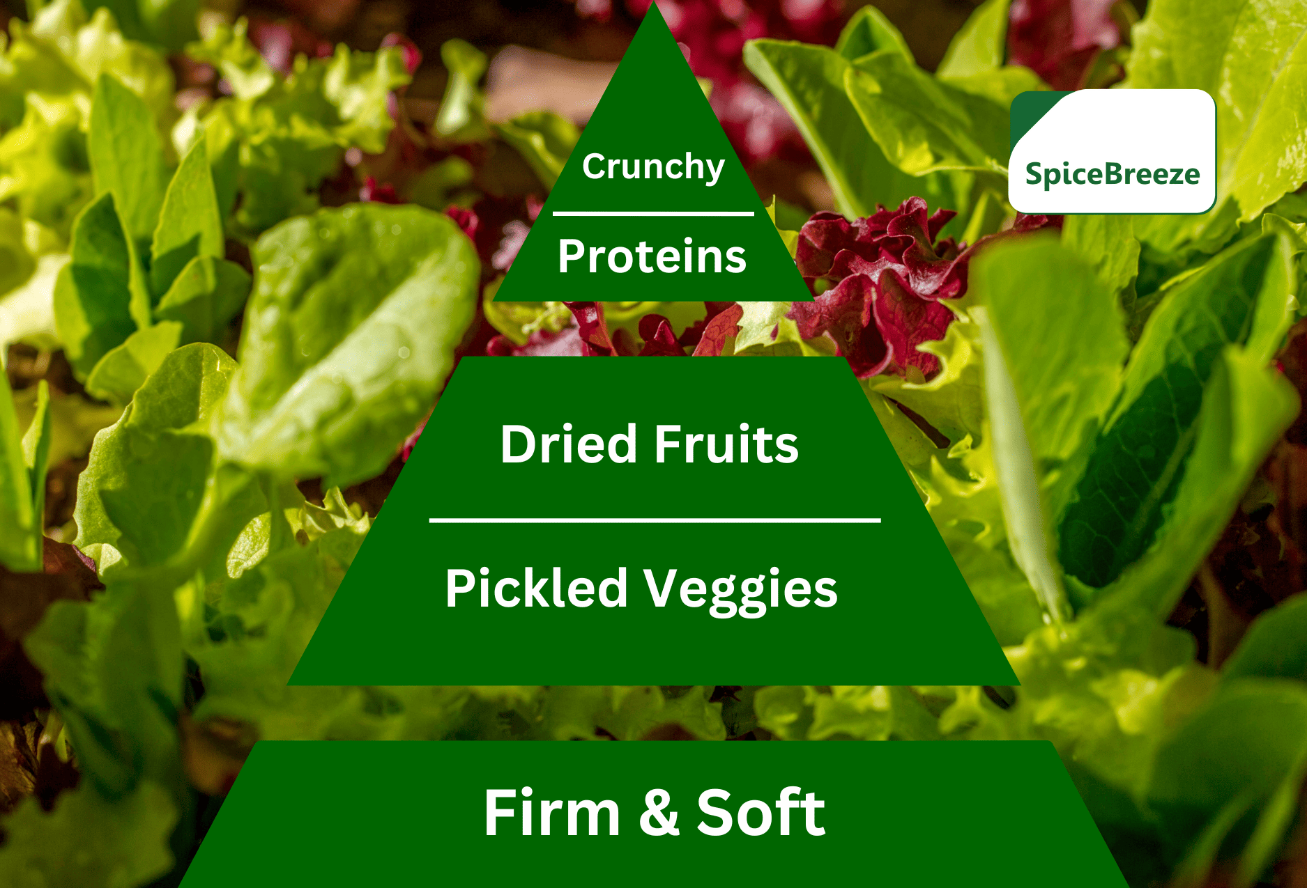 Culinary Building Blocks - Salad Bar - Leafy Greens | SpiceBreeze