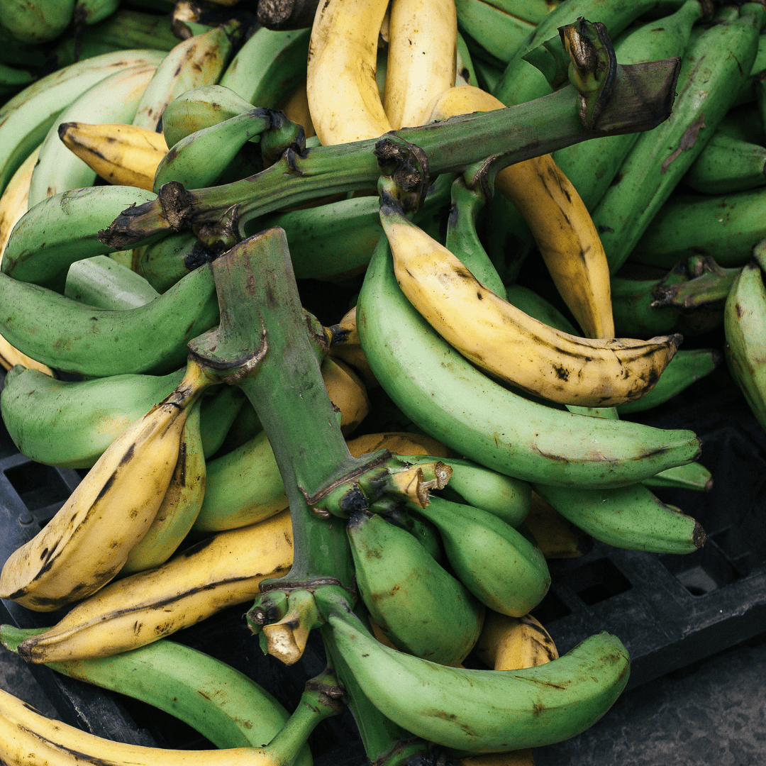 Culinary Building Blocks - Mashed Potatoes | SpiceBreeze